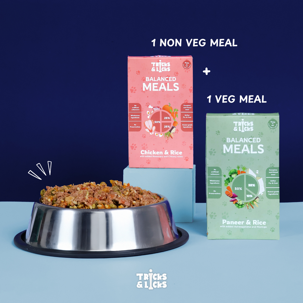 Balanced Meals Combo Fresh Food for Dogs – Tricks & Licks